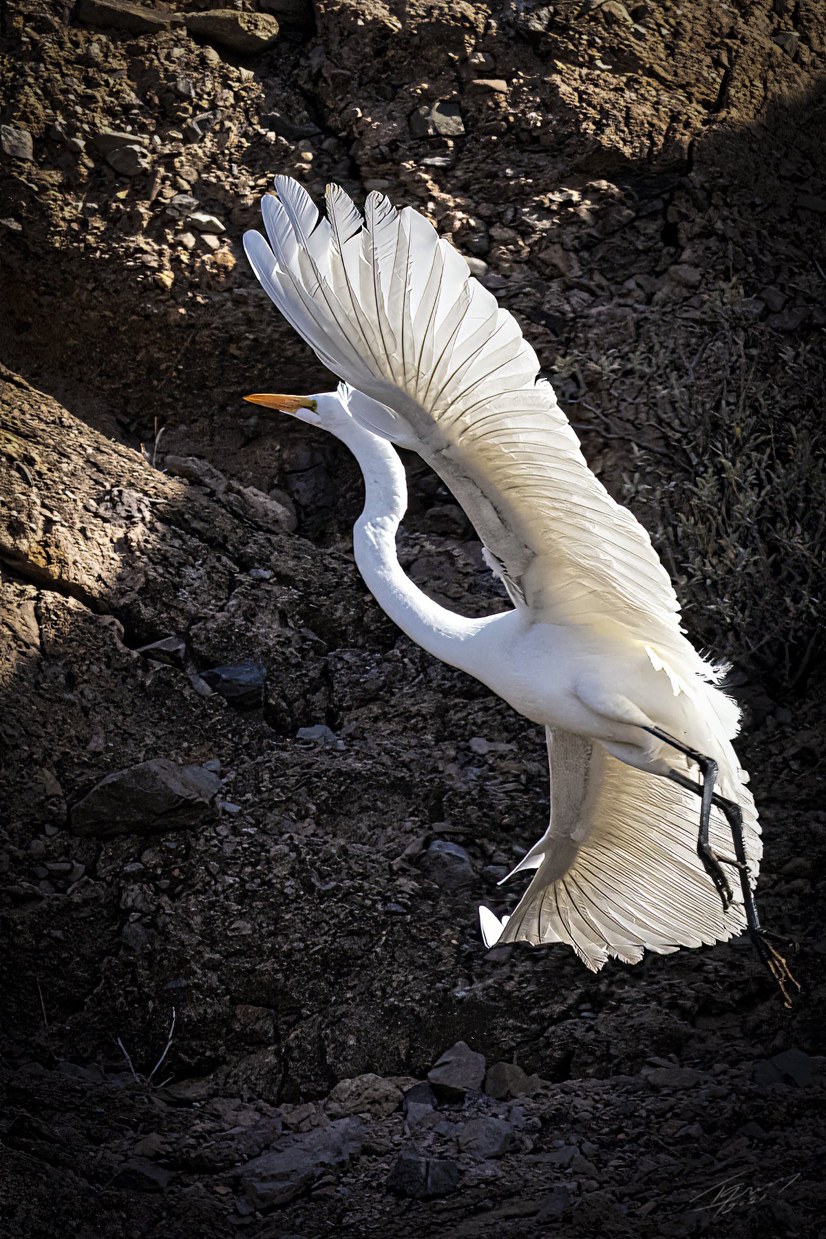 Today’s Photo from Ted Grussing Photography: The Ice Age Returns