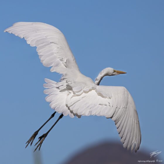 Today’s Photo from Ted Grussing Photography: I like it here