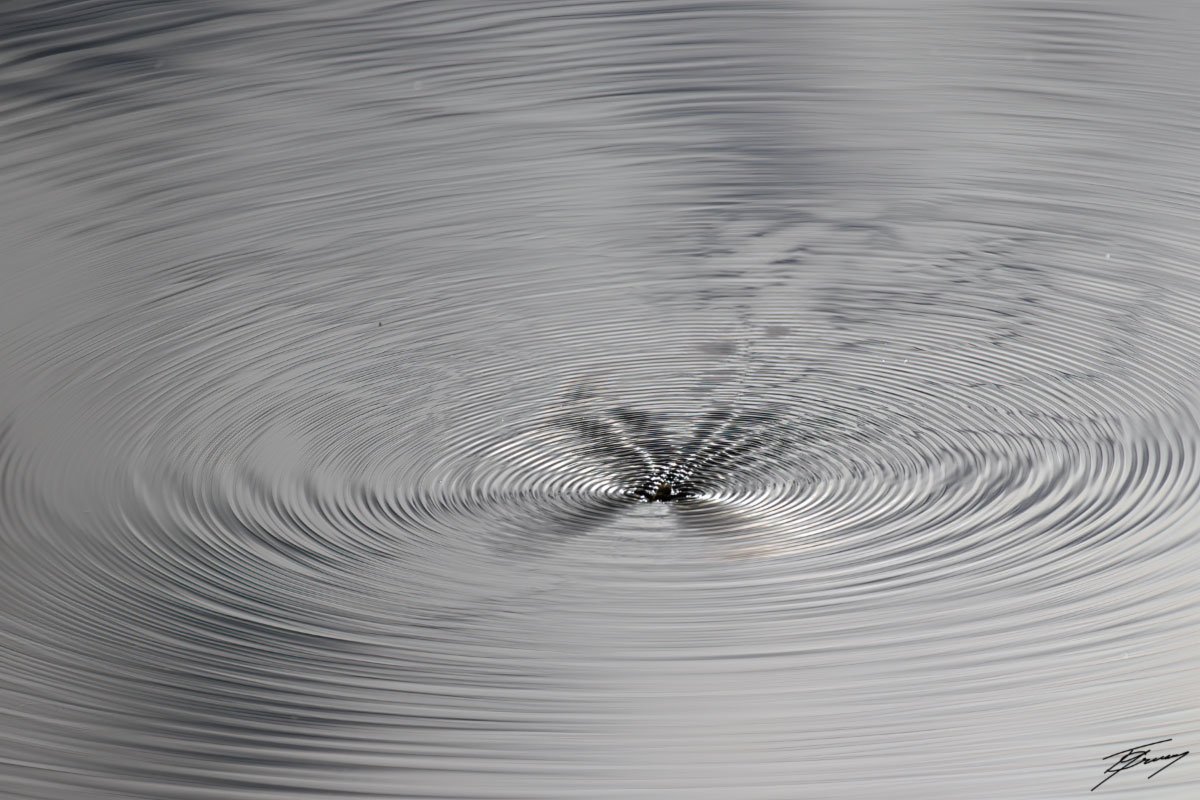 Today’s Photo from Ted Grussing Photography: Strange Days Result in ...