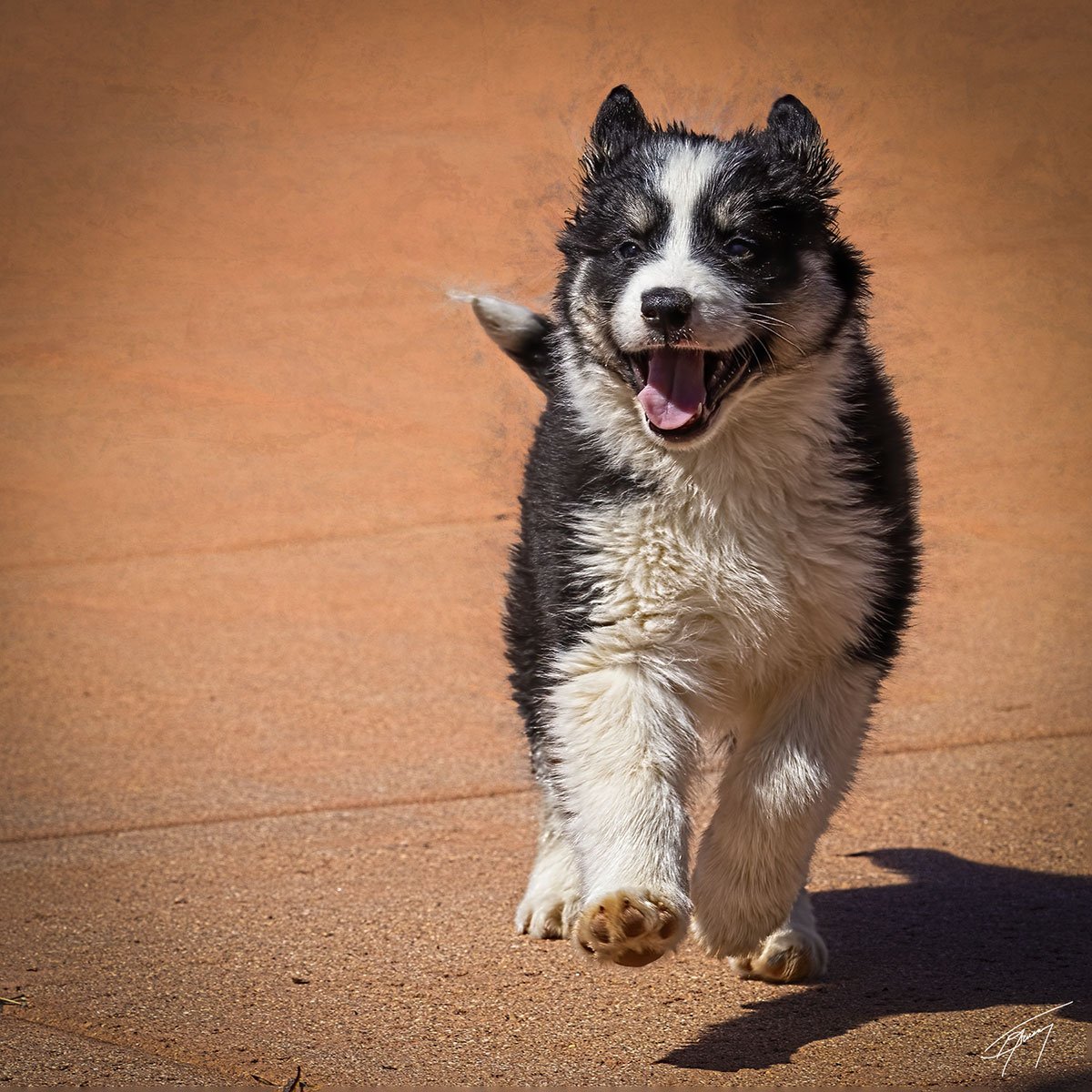 Today’s Photo from Ted Grussing Photography: The Joy of New Life