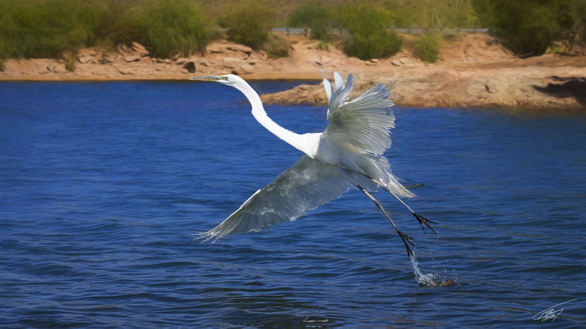Today’s Photo From Ted Grussing Photography: Catch of The Day
