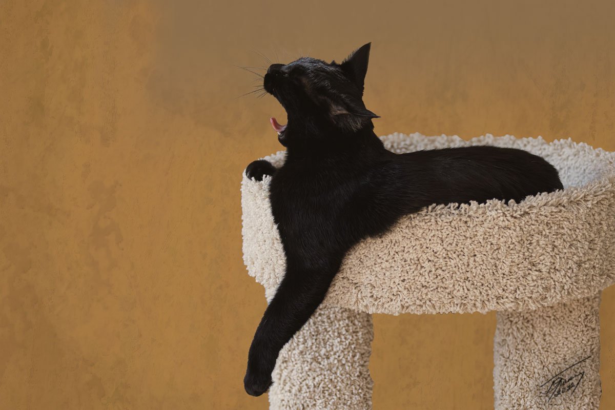 Today’s Photo From Ted Grussing Photography: Wild and Domestic Life as ...