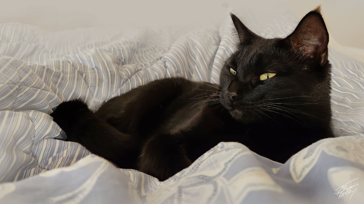 Today’s Photo From Ted Grussing Photography: Every Morning