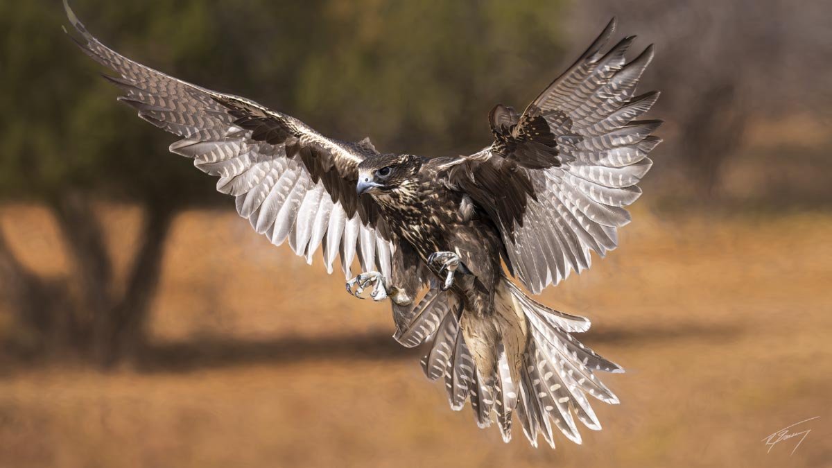 Today’s Photo from Ted Grussing Photography: Refueling
