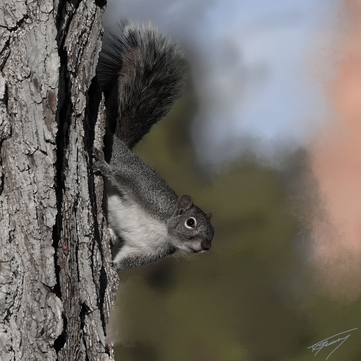 Today’s Photo from Ted Grussing Photography: All Clear?