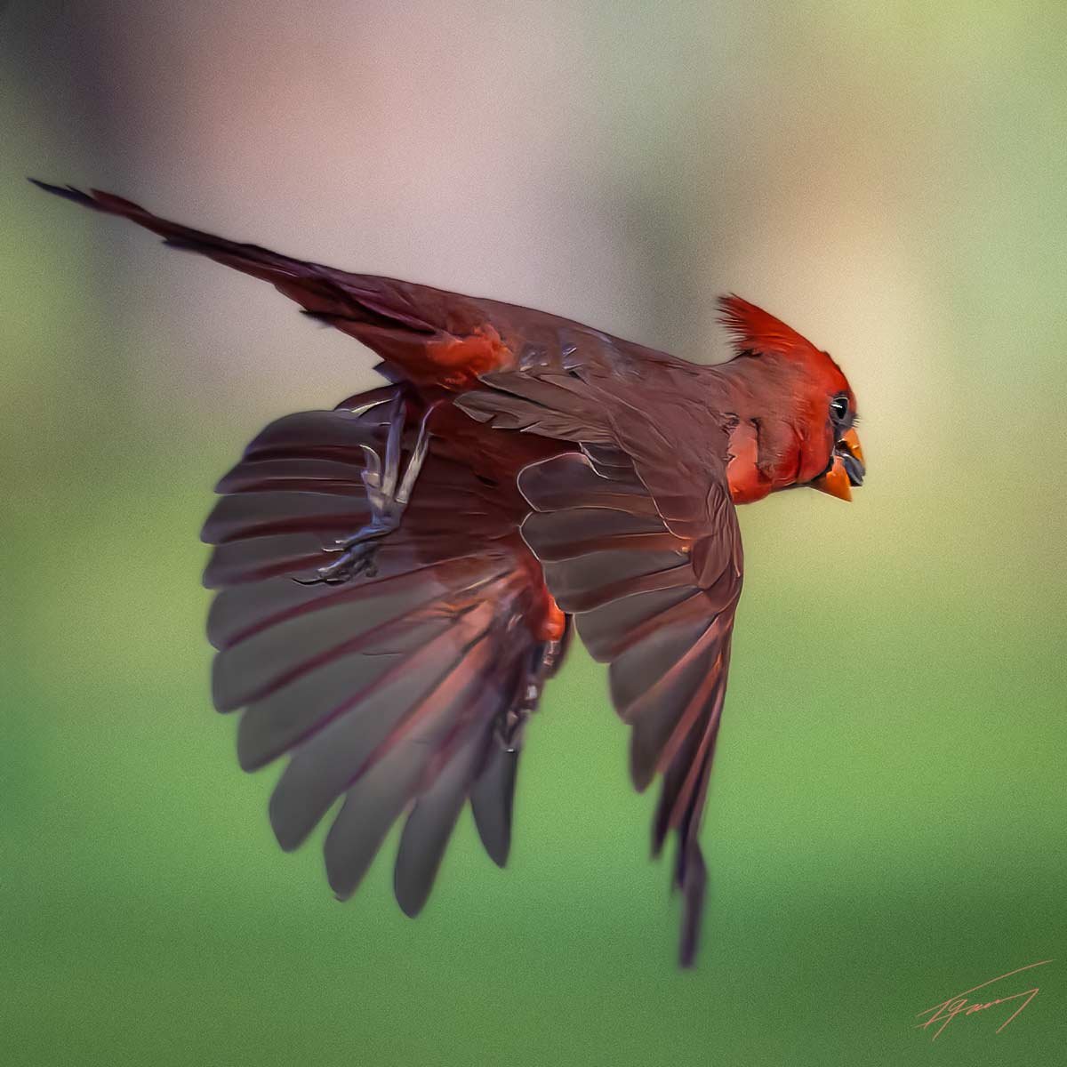 Today’s Photo from Ted Grussing Photography: Sunflower Seeds vs. Seafood